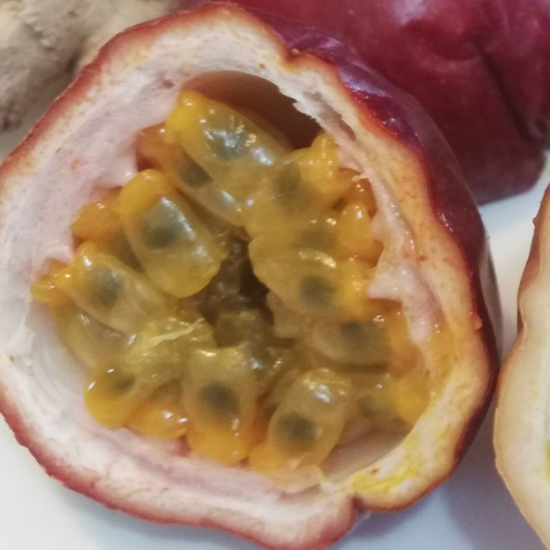 Passiflora Breizh Tehani, passion fruit | À l'ombre des figuiers
